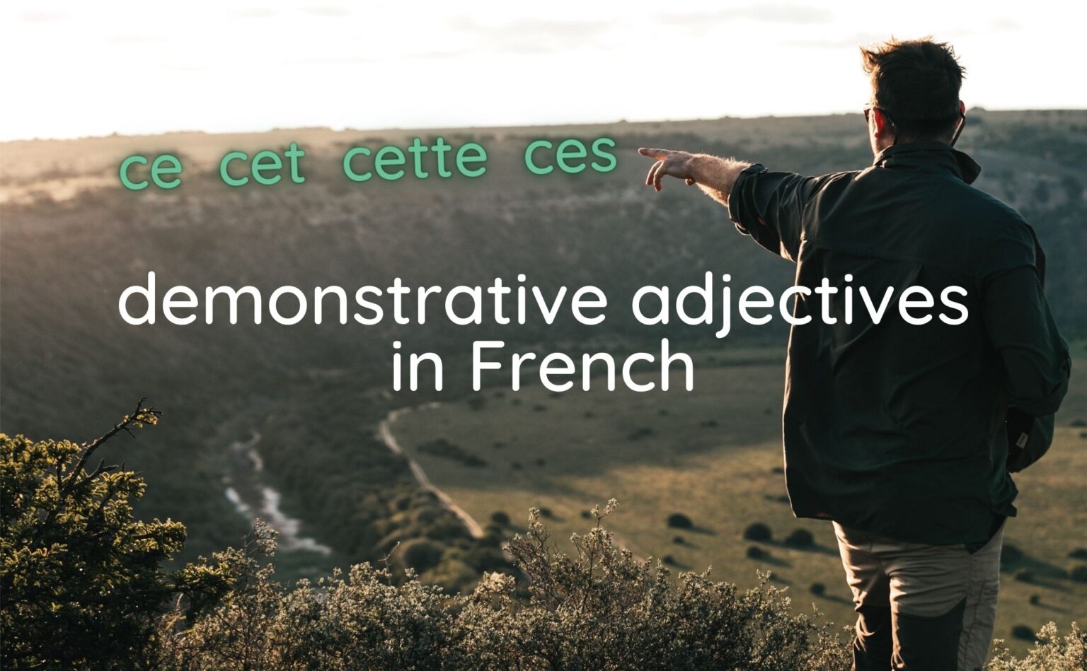 Ce, Cet, Cette, Ces: A guide to the demonstrative adjectives in French