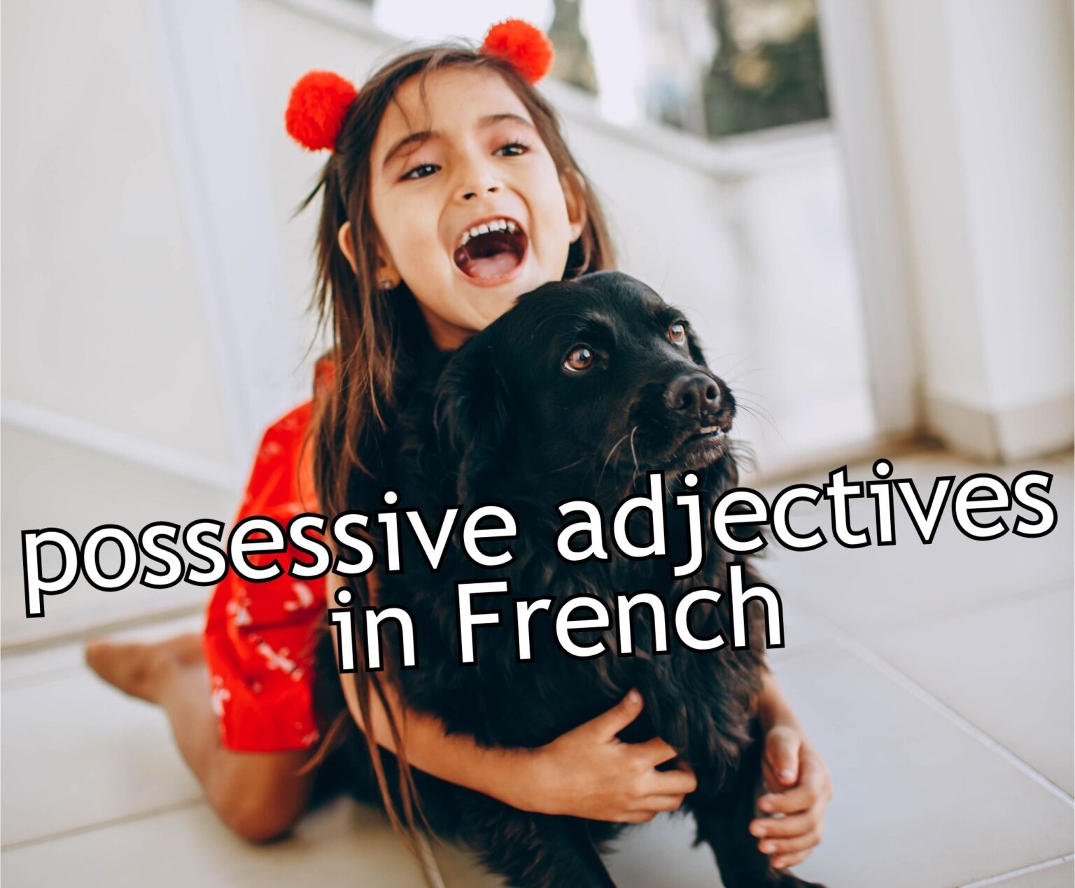 French possessive adjectives: The complete guide