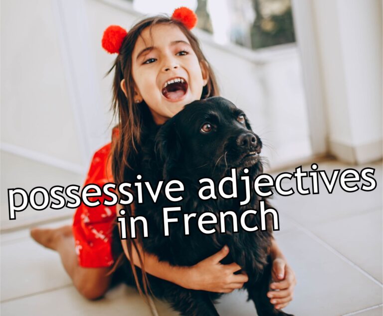 French possessive adjectives: The complete guide