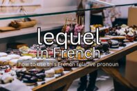 Lequel in French: How to use this French relative pronoun and its variants